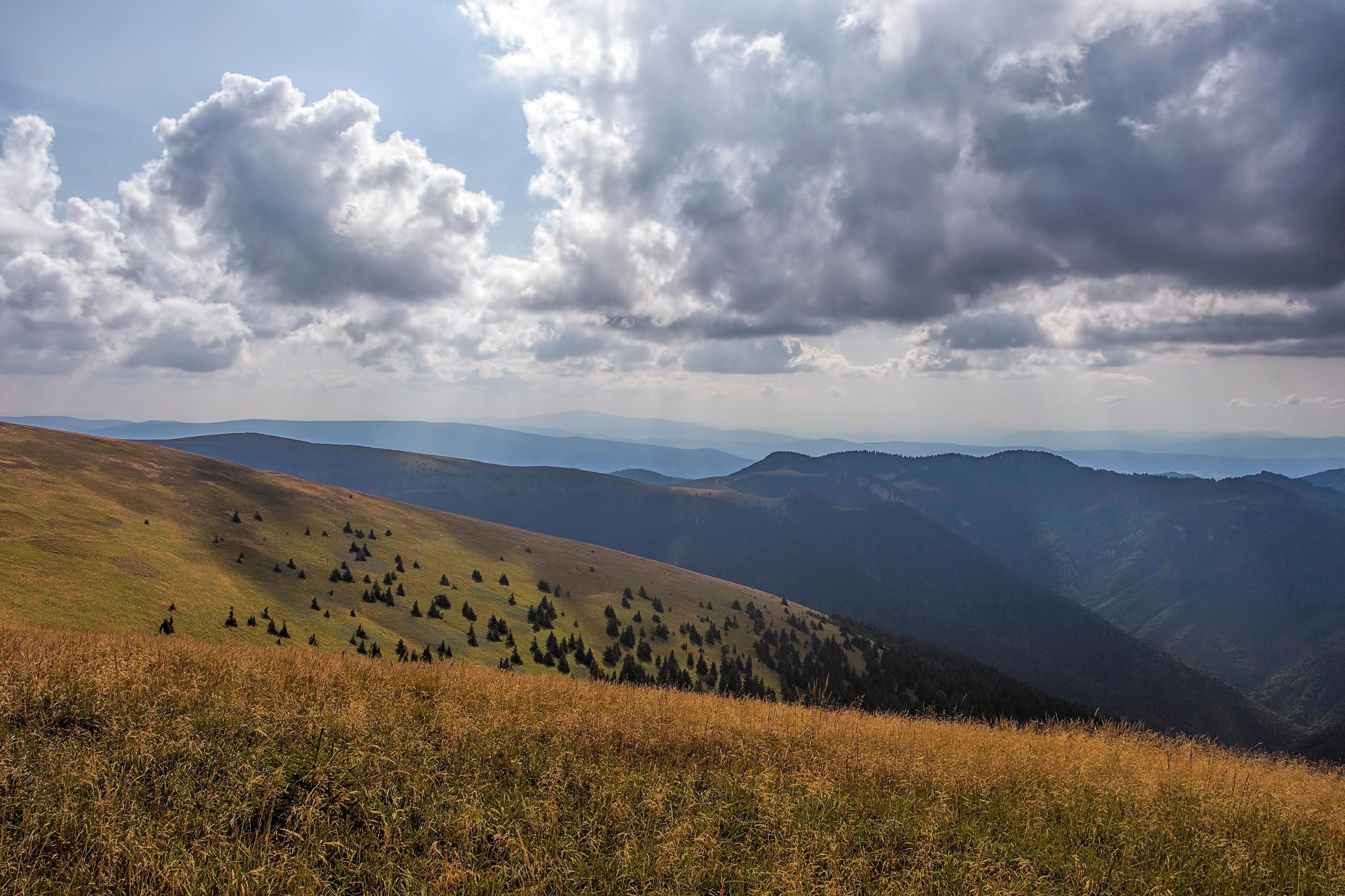 Hotels in Martin ab 71 € – SWOODOO