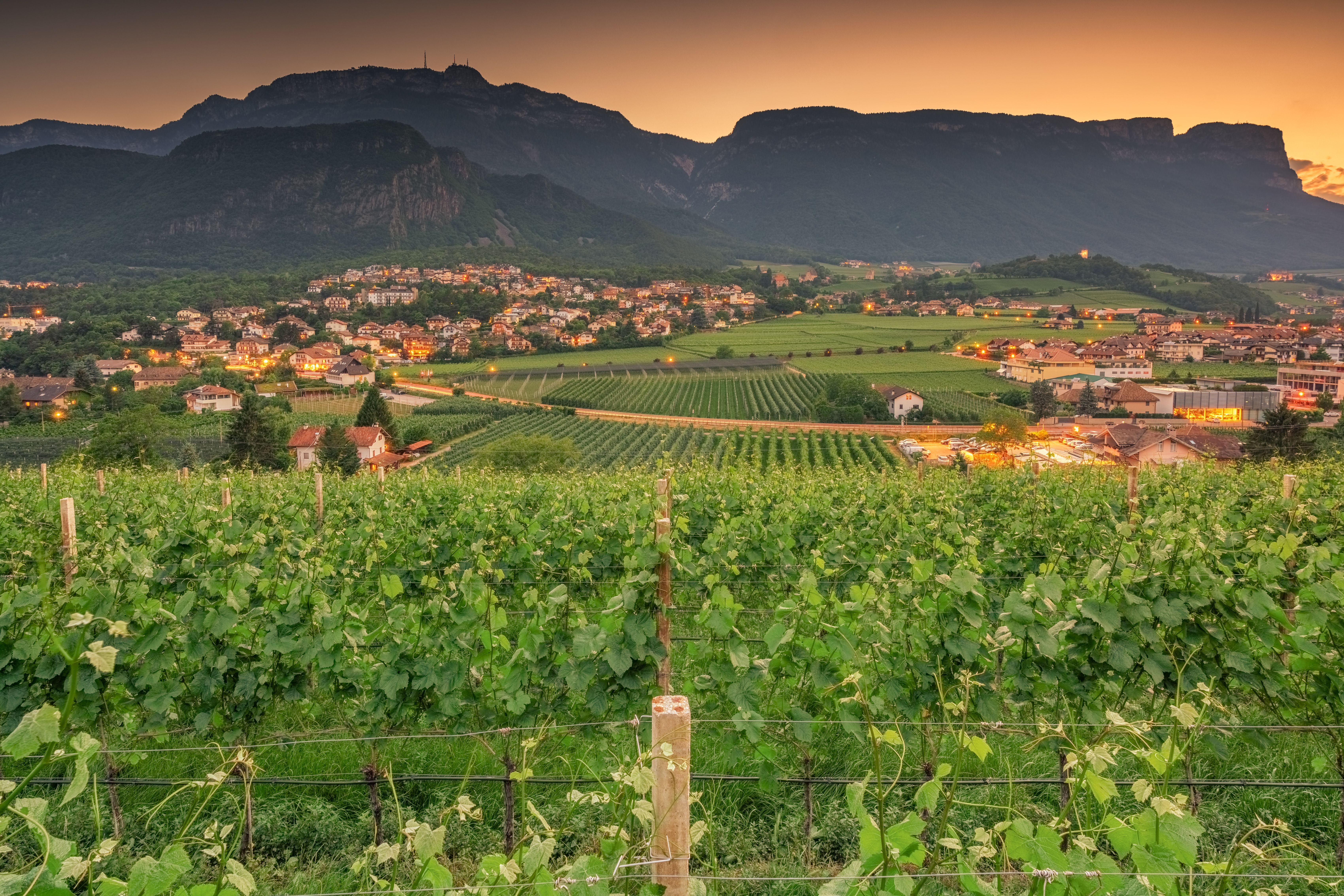 Hotels in Eppan an der Weinstrasse – SWOODOO